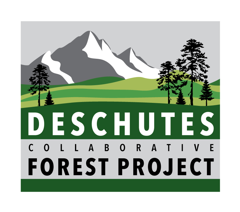 DCFP Logo Redesign - Bold Ampersand